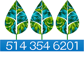 Contact us – Centre de Solution Santé